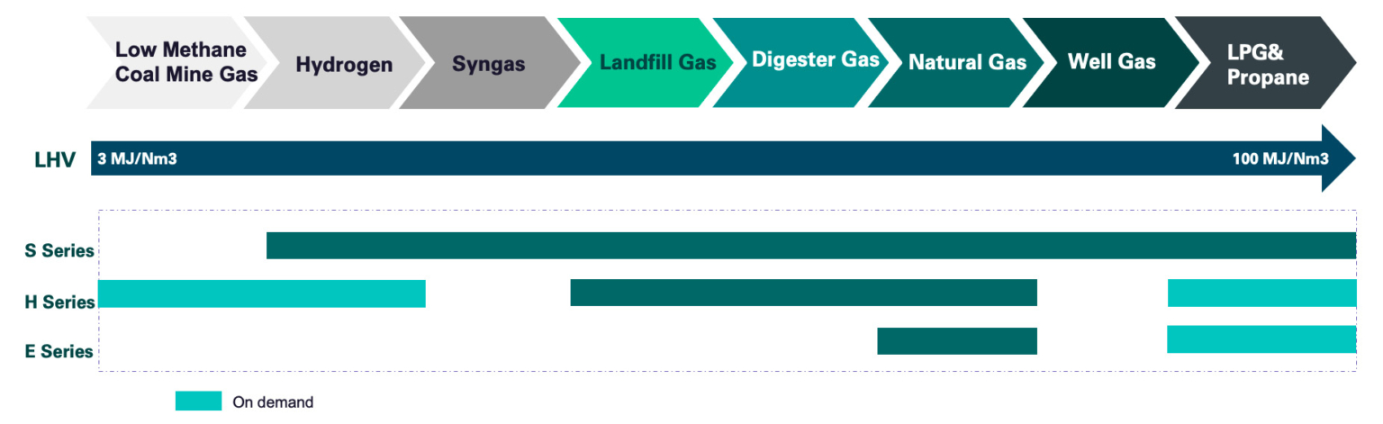 Fuel flexibility - Guascor Energy
